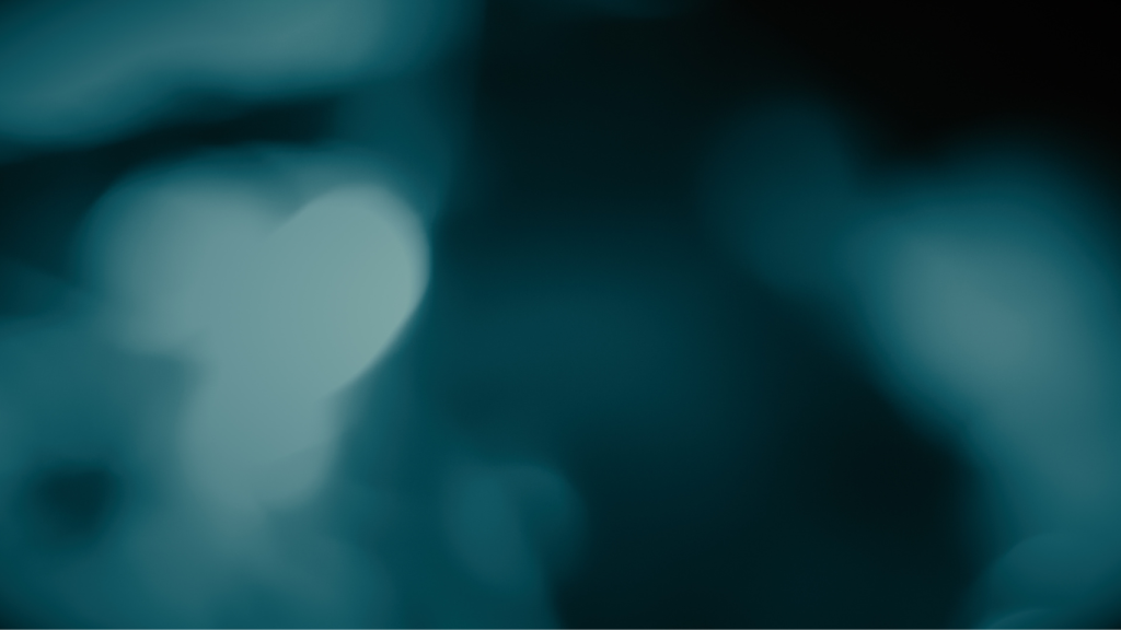 転職希望者向けサービス Services for Job Seekers – Bloom株式会社